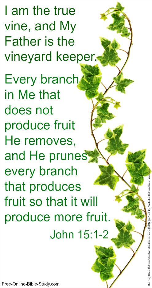 When God Says No But You Do It Anyway | Servant Girl Stories